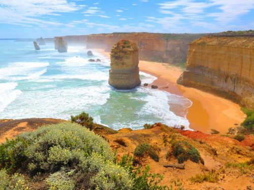 Best Places to See Koalas in Australia - Waking Up Wild | Waking Up Wild