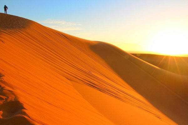 The Wildlife & Wonder of Mali - Waking Up Wild | Waking Up Wild