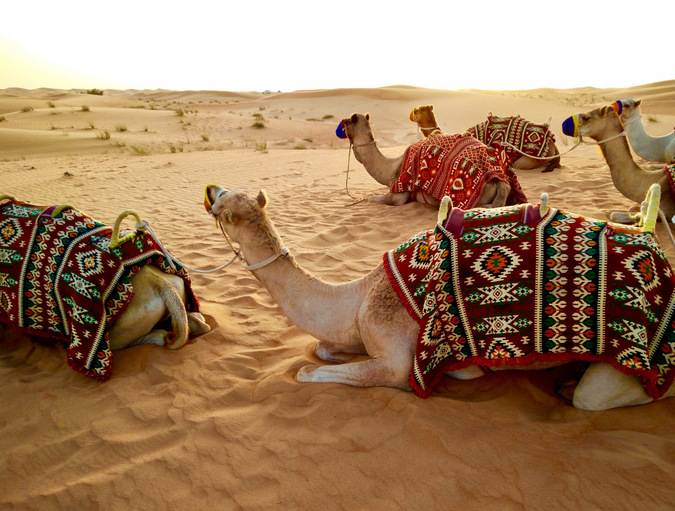 Top 5 Holiday Destinations To Go After You Win Big - Waking Up Wild ...