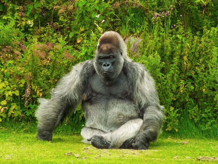 Seattle's Top 5 Outdoor & Wildlife Experiences - Waking Up Wild ...