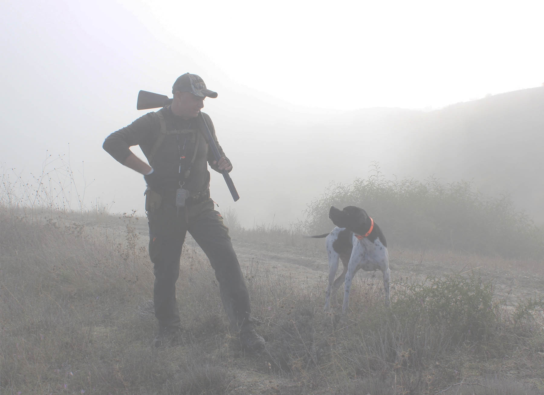Choosing the Right Gun for Hunting - Waking Up Wild | Waking Up Wild