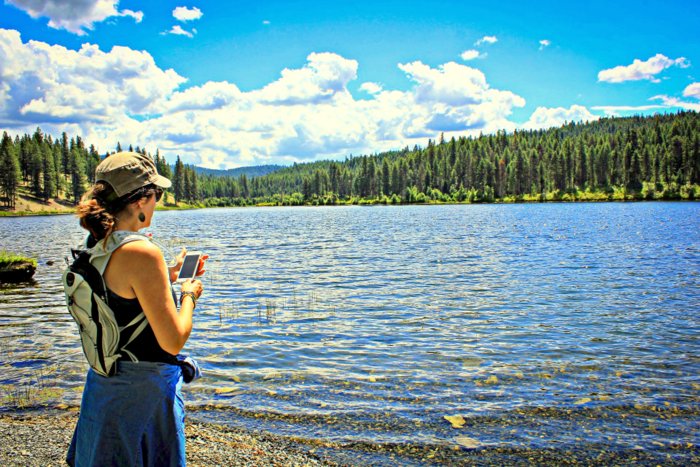 Seattle's Top 5 Outdoor & Wildlife Experiences - Waking Up Wild ...