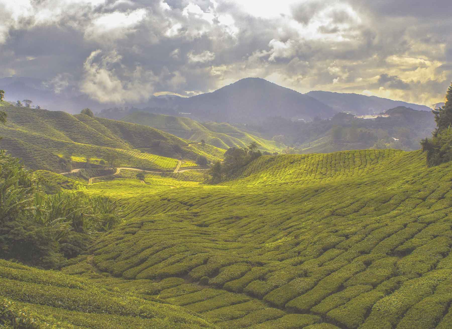 Experience the Best of Nature and Excitement in Malaysia - Waking Up ...