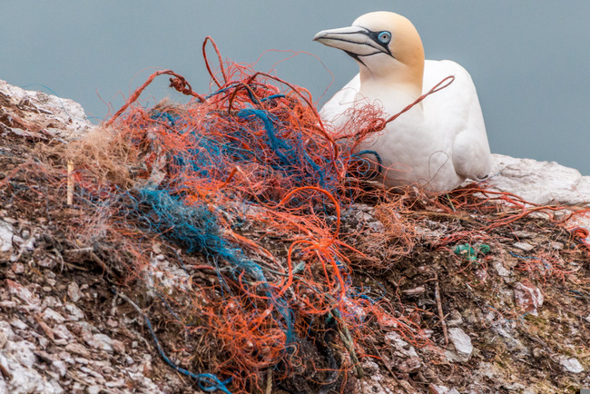 7 Ways You Can Keep Oceans Safe and Protect Marine Life - Waking Up ...