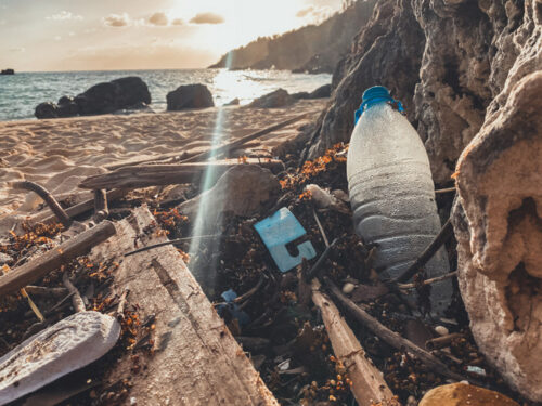 7 Ways You Can Keep Oceans Safe and Protect Marine Life - Waking Up ...