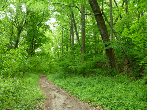 Most Beautiful and Unique Hiking Trails in Indiana - Waking Up Wild ...