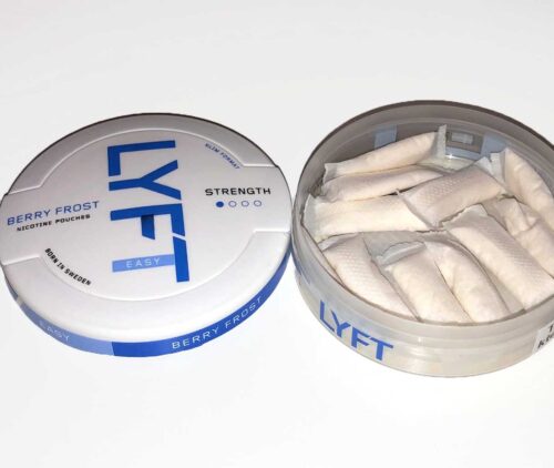 Alternatives to Smoking: Get the Facts on Snus and Nicotine Pouches ...