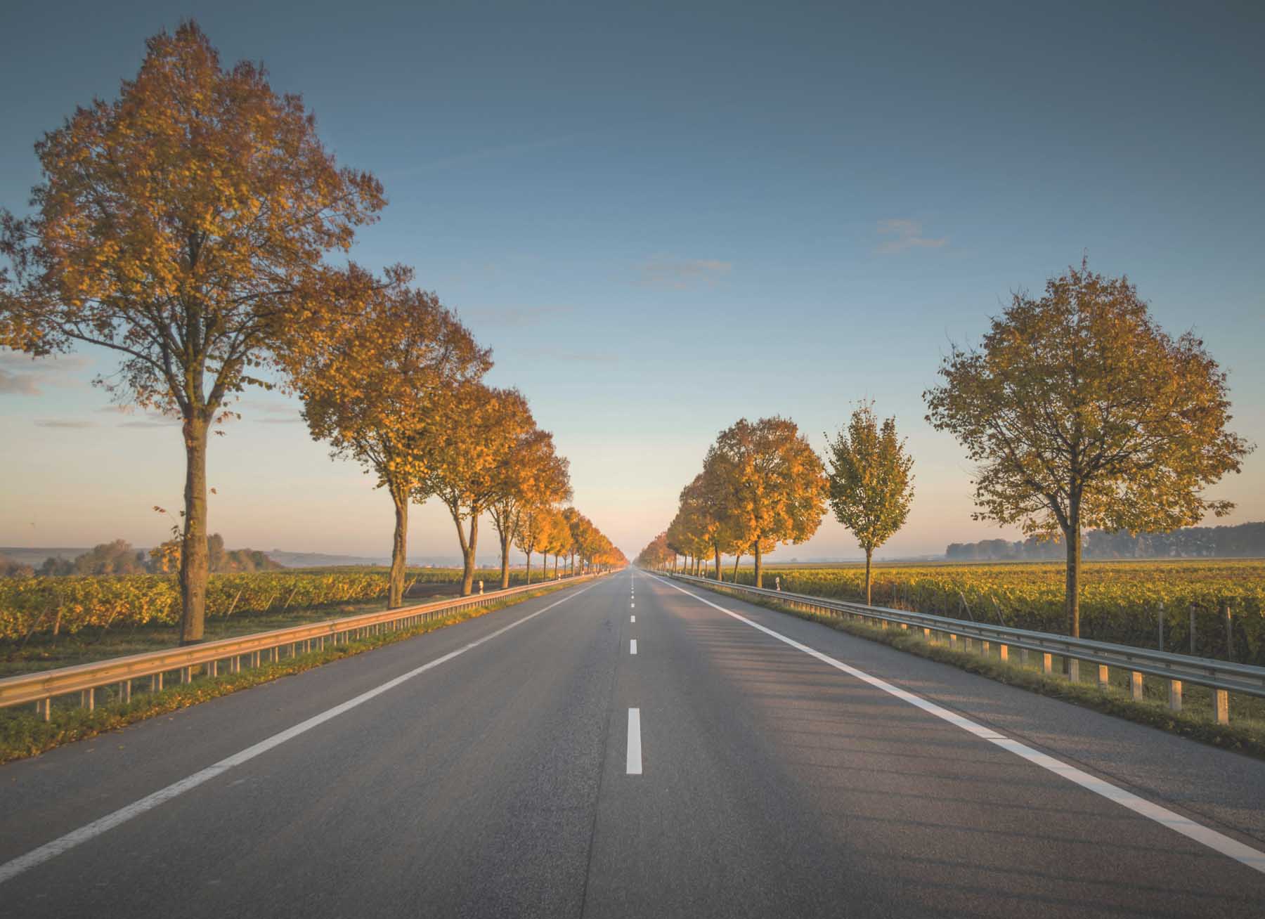 Are Flight Cancellations Ruining Your Travel Plans? Top Road Trips for ...