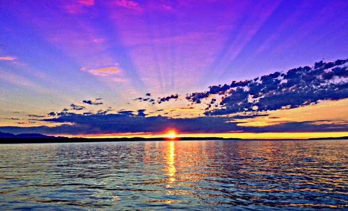 Seattle's Top 5 Outdoor & Wildlife Experiences - Waking Up Wild ...